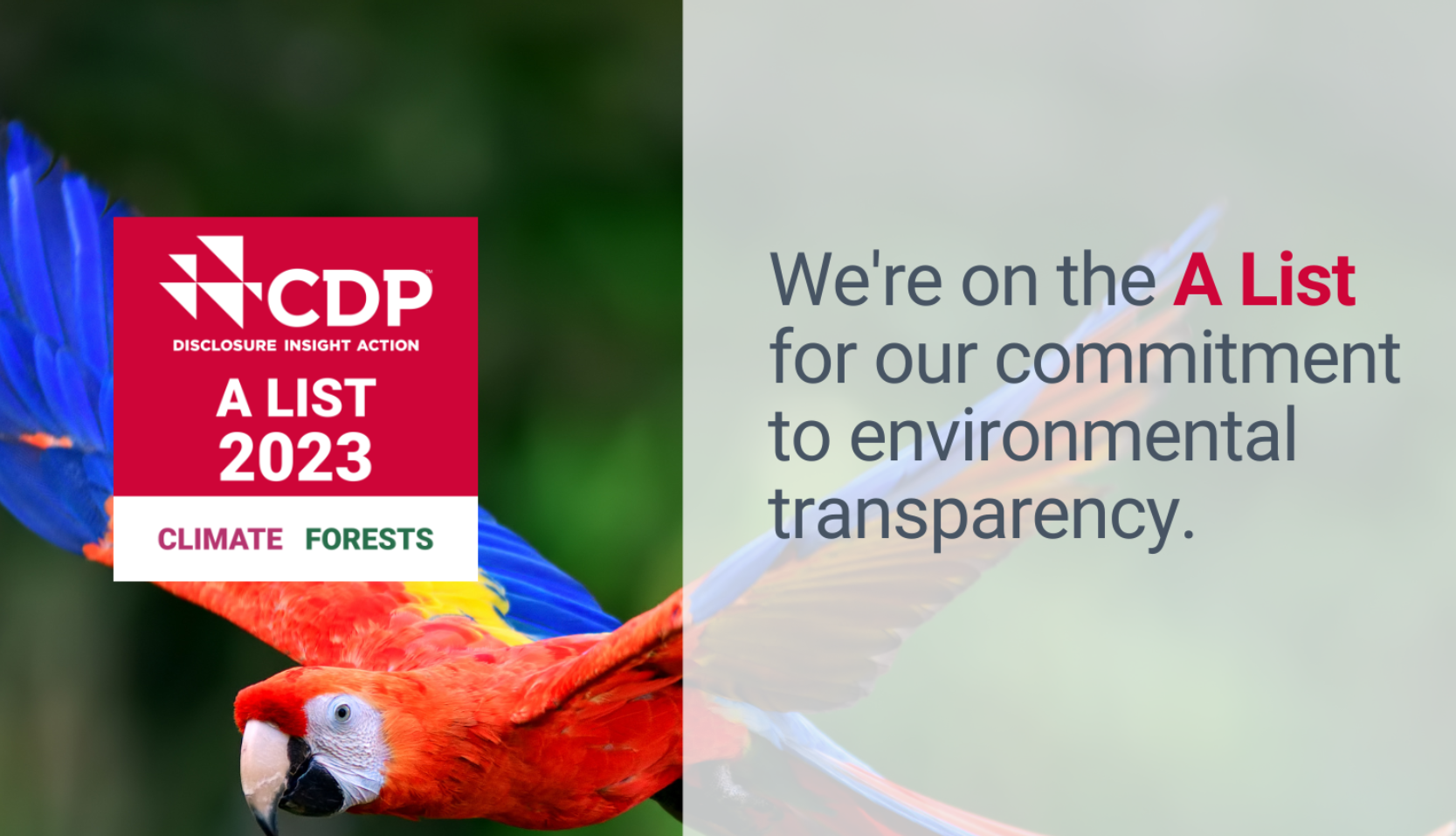 CDP recognizes UPM with double ‘A’ score for transparency on climate ...