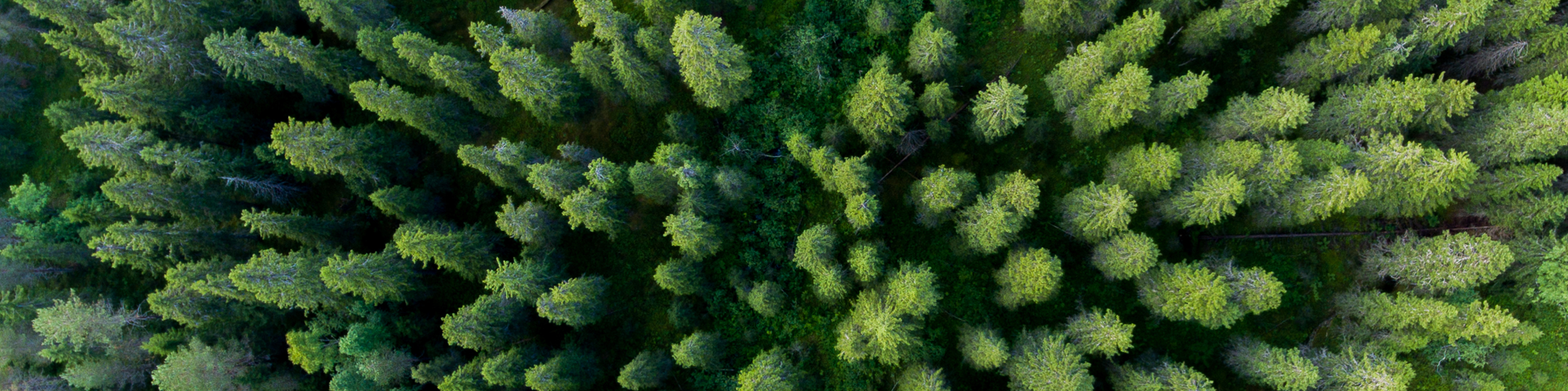 UPM Specialty Papers | UPM Specialty Papers